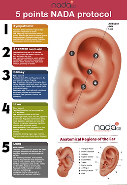 NADA Protocol - Ear acupuncture training healthcare professionals addiction substance misuse NADA GB